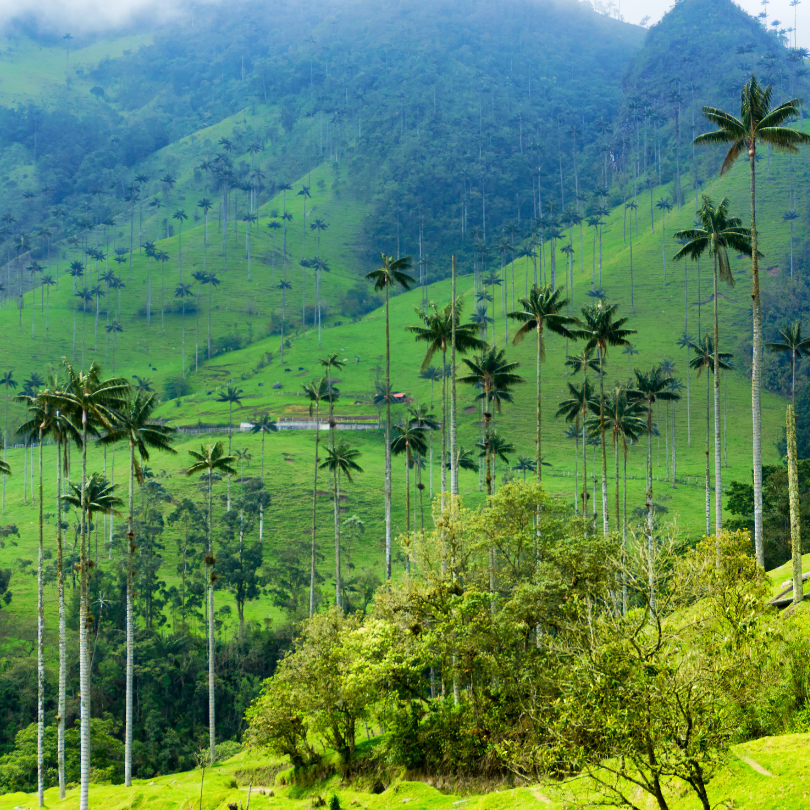 12 parques naturales nacionales de Colombia para visitar ...