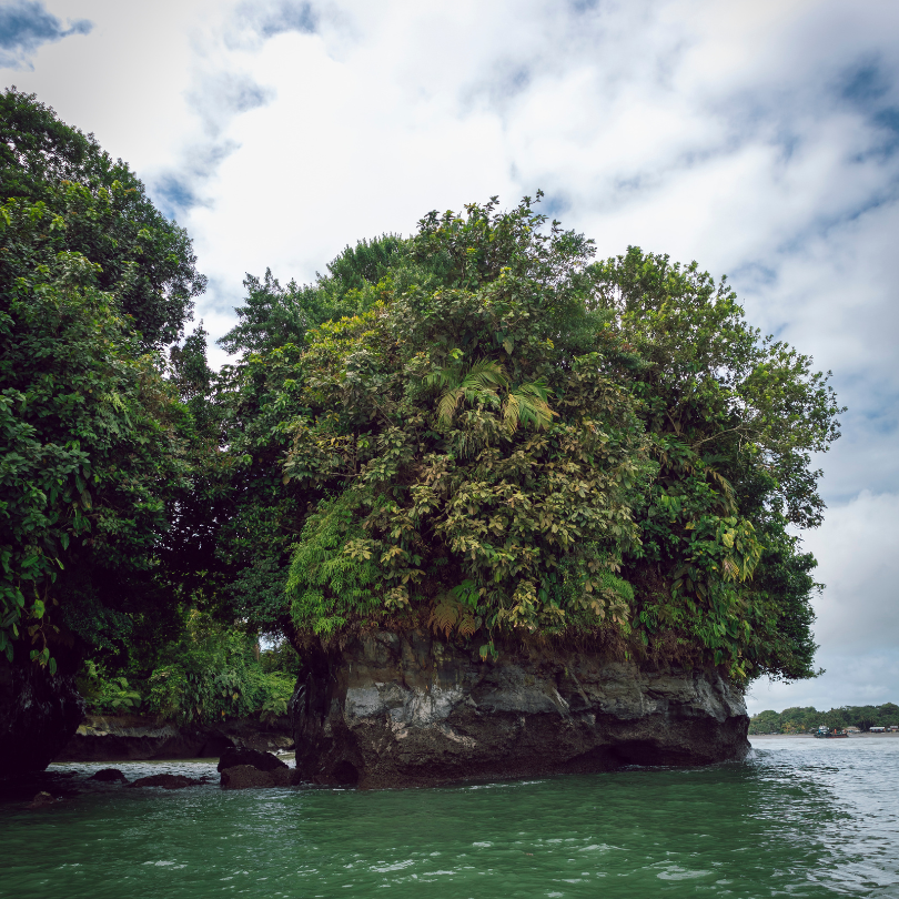 12 parques naturales nacionales de Colombia para visitar ...